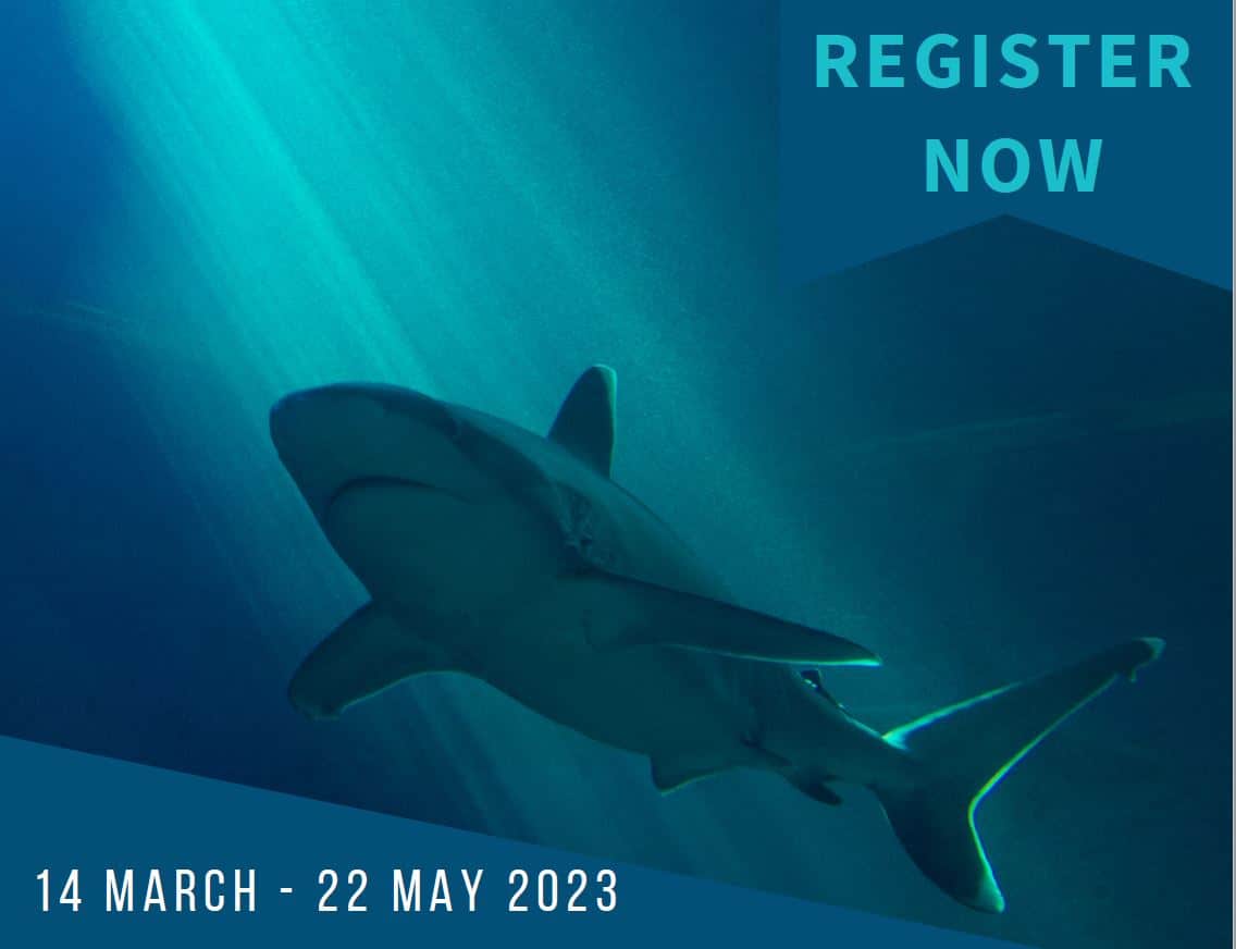 Welcome to IMLI - IMO International Maritime Law Institute (IMLI)